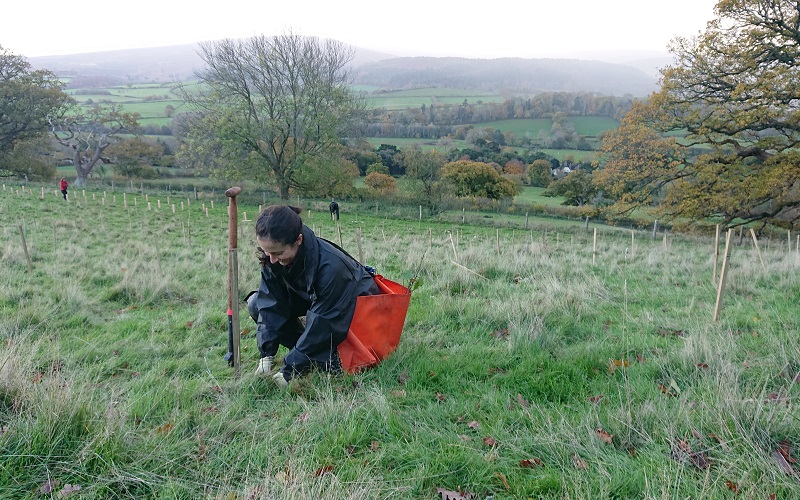 National Trust Jobs :: Anna: Assistant Apprentice Ranger on Countryside ...