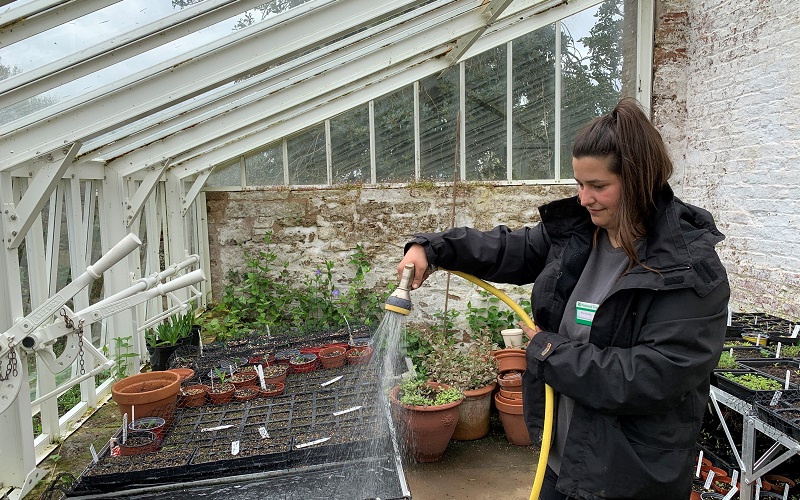 National Trust Jobs :: Ana: Garden apprentice on Horticulture or ...