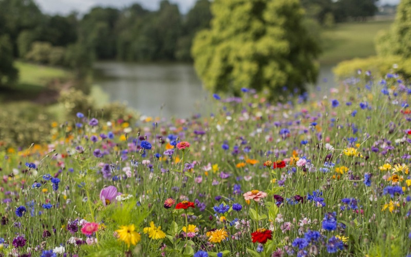 National Trust Jobs :: Introducing the Plymouth Natural Grid project